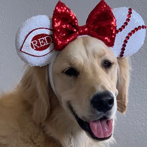 Oakland Raiders Inspired Minnie Mouse Mickey Mouse Ears - Etsy