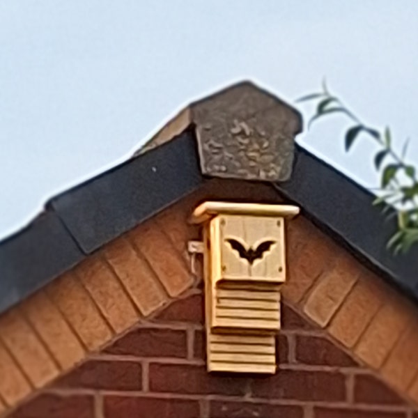 Bat Box - Conservation Nesting Box for UK Bats (medium) - Etsy