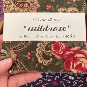 Basically Patrick ‘artic’ Charm Pack by Patrick Lose for RJR - Etsy