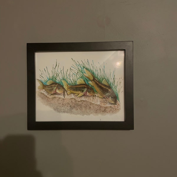Orange Laser Corydoras Original Watercolor Art Print - Etsy