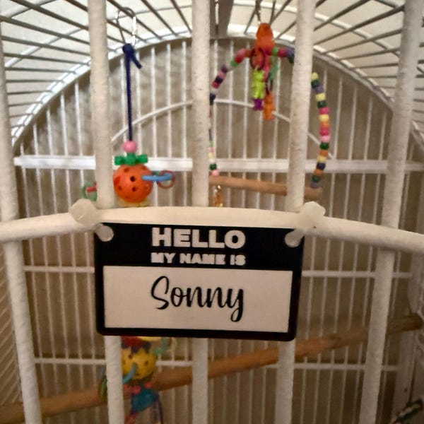 Personalized Bird Cage Name Tags, Custom Name Tags for Bird Cages, Bird ...