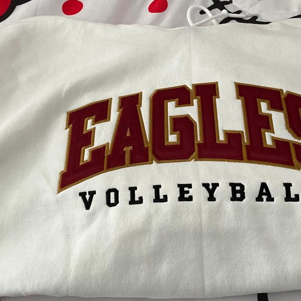 CUSTOMIZABLE Embroidered Hoodie, University Hoodies, College Hoodies ...