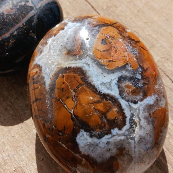 Madagascar Orbicular Ocean Jasper Palm Stone - Etsy