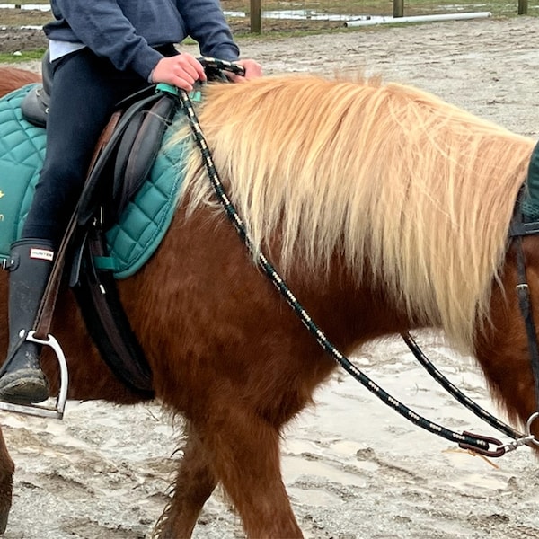 Equestrian Horse Riding Set With Horse Design Full Matchy Matchy Can't ...