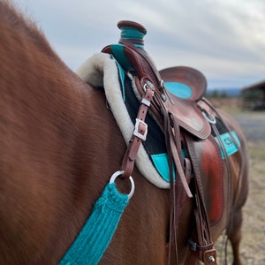 Turquoise Floral Bronc Halter With Fringe, USA Made, Horse Tack, Bronc ...