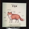 Anatomy of A Fox Card - Etsy