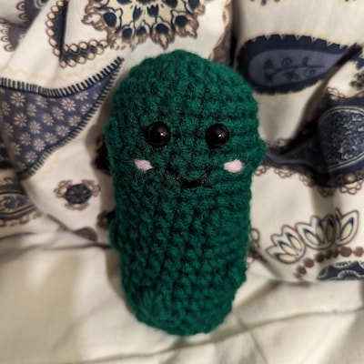 PATTERN ONLY, Easy Pickle Crochet Pattern, Instant DOWNLOAD - Etsy