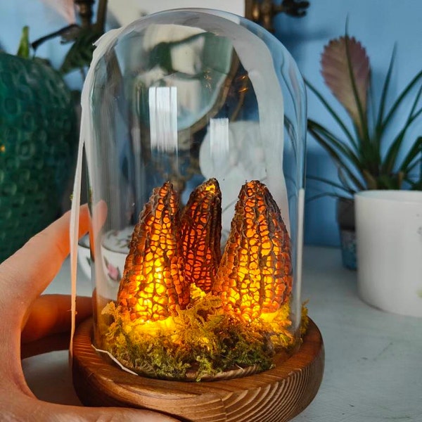 Handmade Morel Mushroom Lamp Wild Mushroom Lamp in a Glass Container ...
