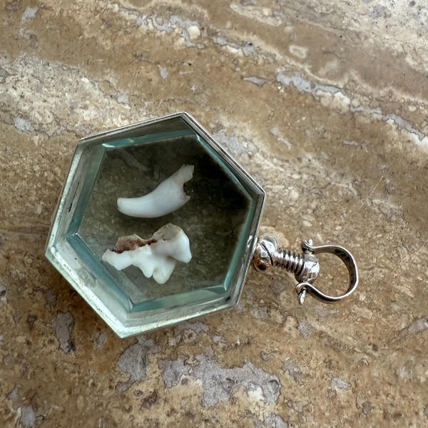 New Fillable Gold Locket Hexagon Locket Beehive Glass Locket Gems Gold ...