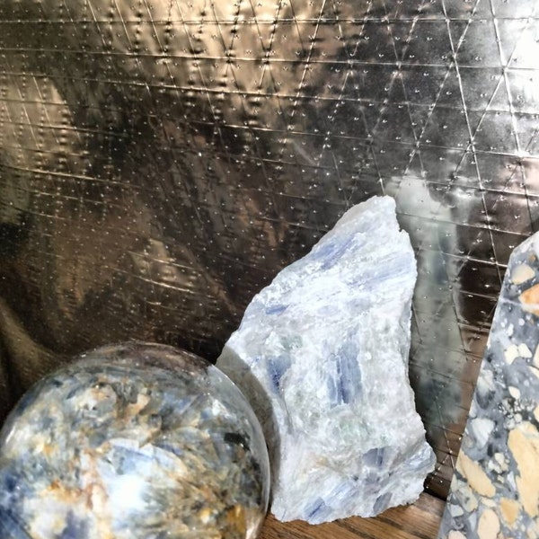 Awesome Jasper T-rex Skull, With the Coolest Patterns - Etsy