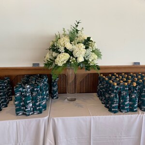 Seattle Seahawks Wine Bottle Gift Bag Go Hawks - Etsy