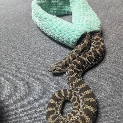 PATTERN ONLY: Large Snake Cozy - Etsy
