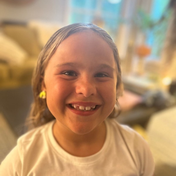 Emotional Support Rock | Polymer Clay | Pet Rock - Etsy