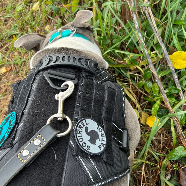 Squirrel Patrol Embroidered Patch With Hook and Loop Fastener Available ...