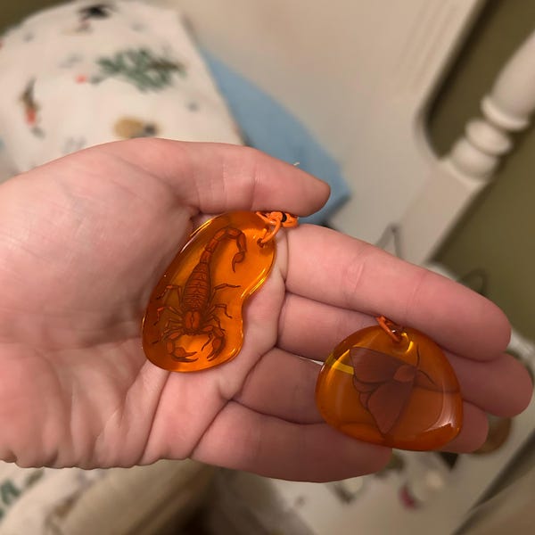 Faux Amber Insect Fossil Acrylic Keychains - Etsy