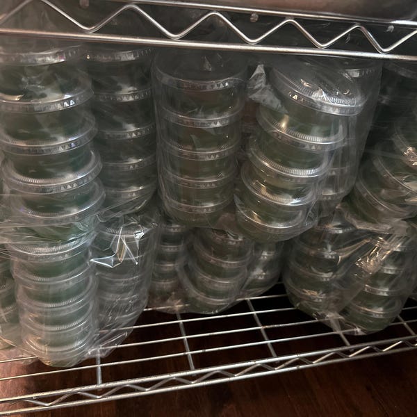 25x Agar Cups 100% Sterile Agar Plates Sorghum Yeast Agar - Etsy