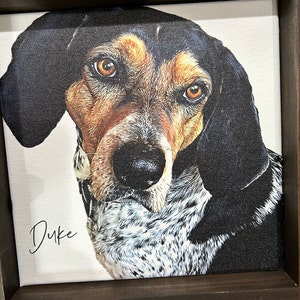 The Litter Room Funny Cat Office Sign, Perfect Gifts for Pet & Pet ...