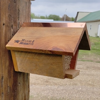 Bee Nesting Material Combo Pack Natural Phragmite Reeds and Cardboard ...