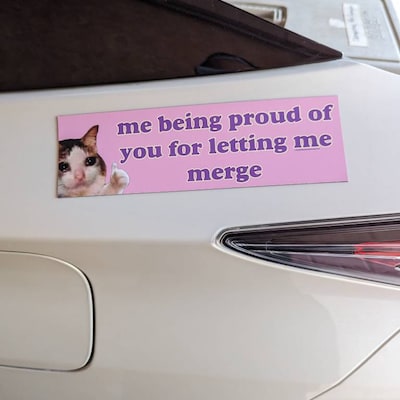 Im Just a Girl Bumper Sticker AND Magnet Funny Meme Sticker 8.7'' X 2.7 ...