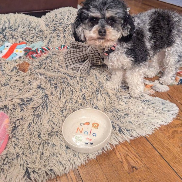 Custom Cute and Cheerful Pet Plate, 2 to 3 Designs, Handmade Pottery ...