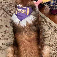 Kids Backpack Tag | Child Schoolbag Label | Back to School | Book Bag ...