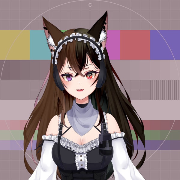 Customizable Vtuber/premade Adopt Live 2D Vtuber Model Cute Fox/cat ...