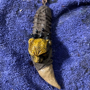 Archaeopteryx in Matrix the berlin Specimen - Etsy