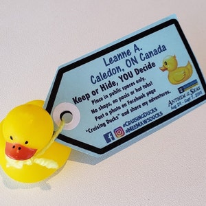 Duck Tags Customized With YOUR Personal Info RCL NCL Princess Celebrity ...
