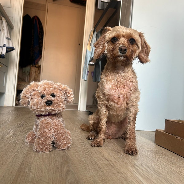 Knitted Cockapoo Teddy - Brown - Etsy