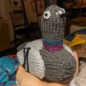 Pigeon Knit Kit All You Need to Knit a Cute Pigeon Bill the Pigeon ...