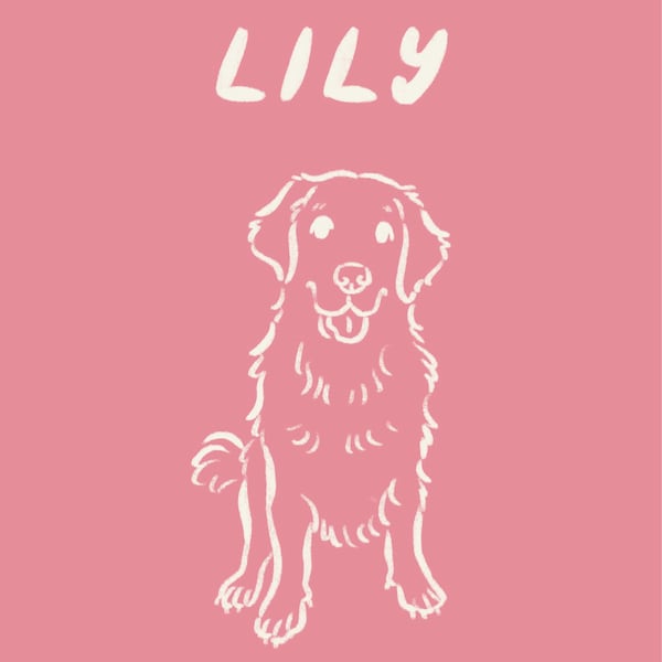 Custom Funky Pet Portrait, Cute Digital Cat Poster, Colorful Dog ...