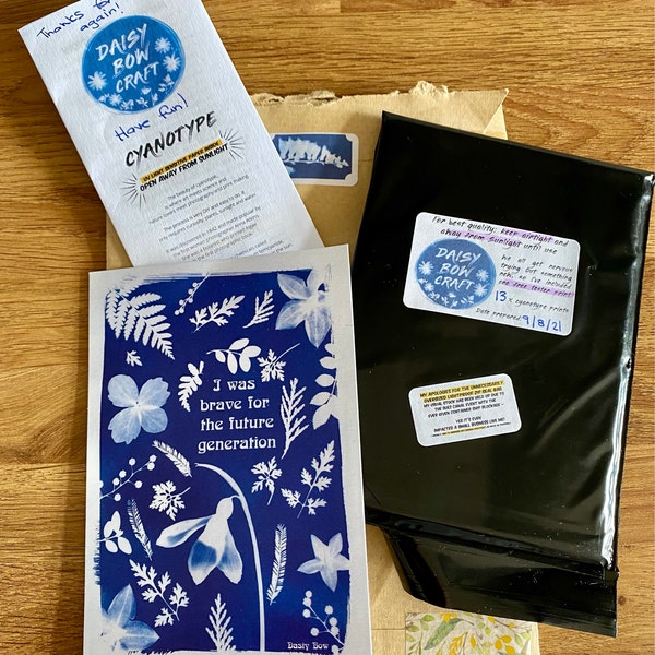 Cyanotype Kit: Easy to Use Sun Printing Kit by Daisy Bow Craft - Etsy