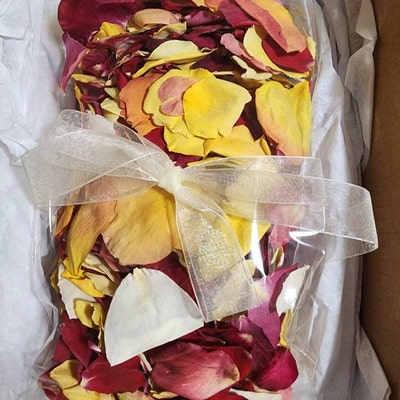 One Cup Petal Sample...choose YOUR Color FREE USA Shipping - Etsy