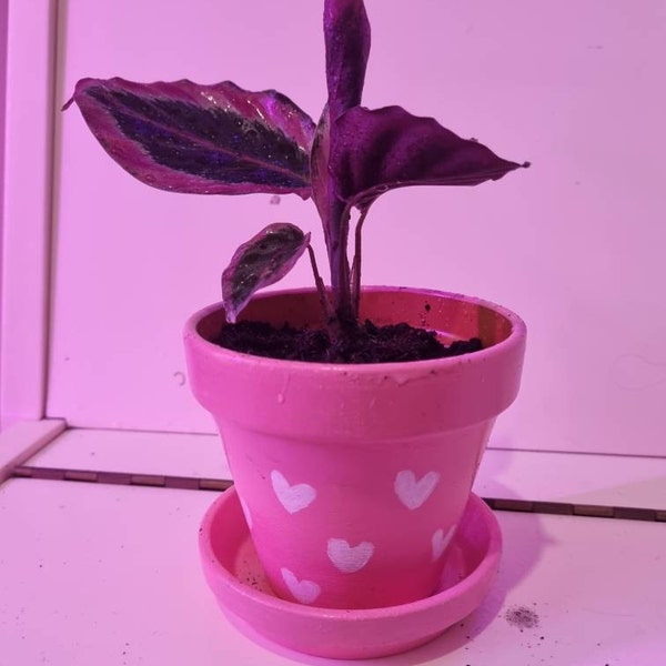 Pink Terracotta Pot With Hearts | 13 Cm | Planter With Drainage Hole ...