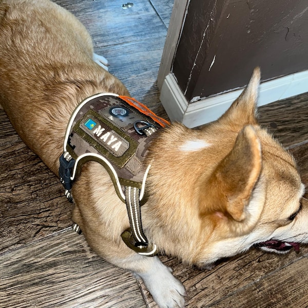 You Name 4.7x2.7 Callsign Laser Cut Cordura Patch With Velcro 120 X 70 ...