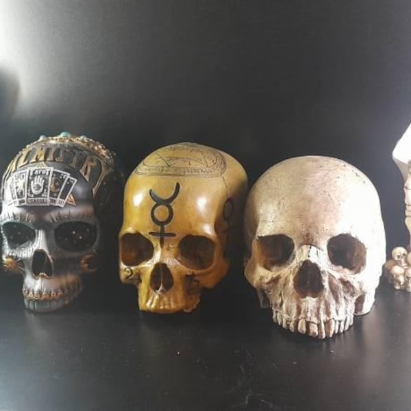 HUMAN SKULL REPLICA (polished Bone) Full Size Realistic Made From ...