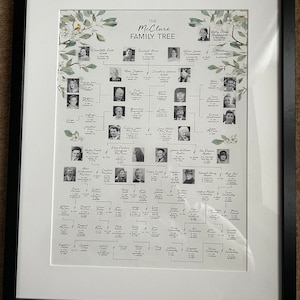 Reverse Family Tree Large Framed Illustration 5 Generations - Etsy