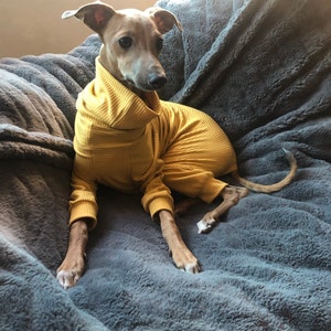 Italian Greyhound Rib Knit Pjs - Etsy
