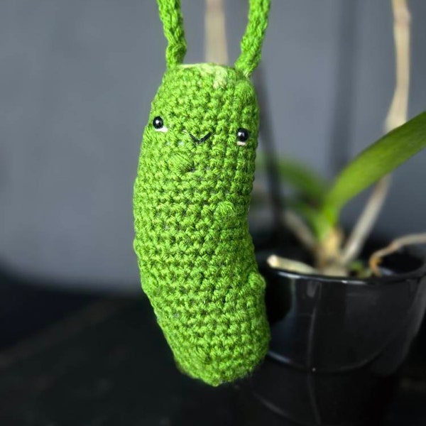 Pickle Cucumber Crochet Pattern! PATTERN ONLY PDF Download Amigurumi ...