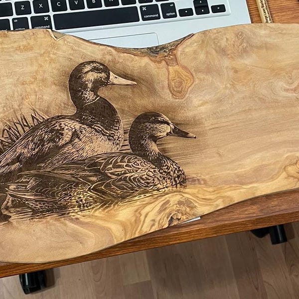 Digital Laser Cut File - Hummingbird and Eye- Laser-ready-file ...