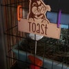 Bunny Rabbit Ears Down Cage Tag, Personalized, Custom, Engraved Wood ...