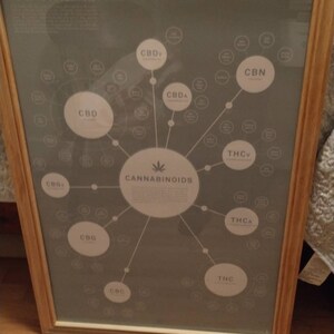 Cannabinoid Health Matrix Chart, Medical Marijuana Infographic Print ...