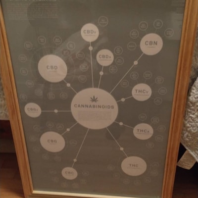 Terpene Food & Wine Pairing Chart Print, Primary Terpene Flavor ...