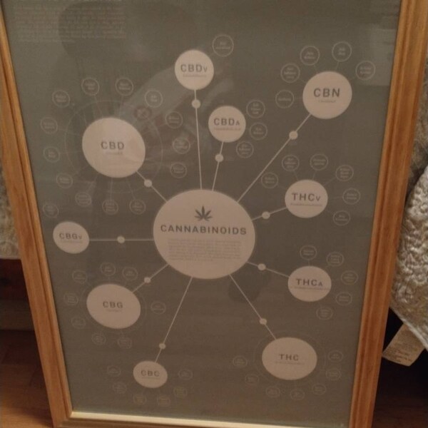 Cannabinoid Health Matrix Chart, Medical Marijuana Infographic Print ...