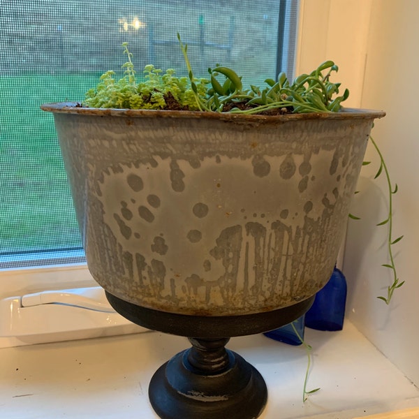 CUSTOM Gnomes - SAMPLES EXAMPLES - Etsy