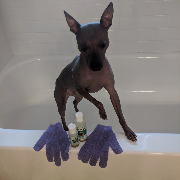 Sphynx Cat Shampoo & Conditioner | Hairless Pet Skin Care | Organic Dog ...