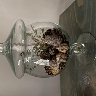 Medium Thick Wood Sticks 12 In, Sycamore Branches 10 Ct, Wooden Sticks ...