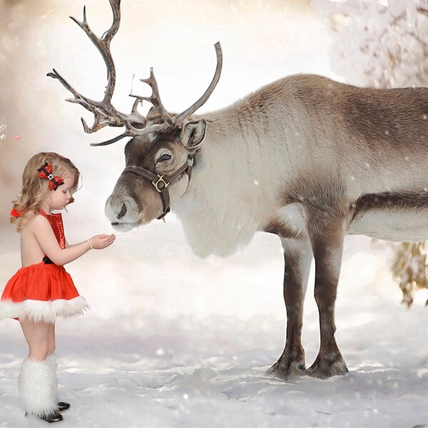 Reindeer in A Bokeh Winter Arch, Digital Background, Christmas Backdrop ...