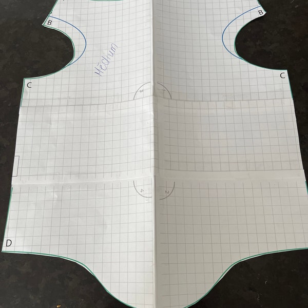 PDF Sewing Pattern Clothes for Cats, DIY Clothes for Sphynx, Two Sizes ...