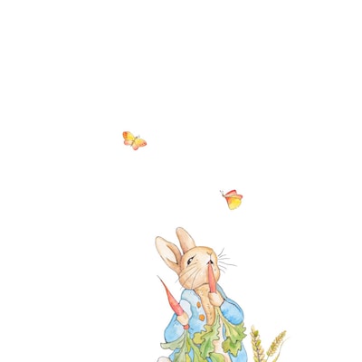Peter Rabbit, Summer Garden, PNG File, Watercolor Clipart, Peter Rabbit ...